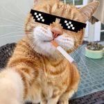 10x Sparkling Shiny Nessie | Limited Fish | Fisch | Super Fast Delivery