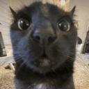 Vortex Echo - Deepwoken