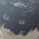 [PC/XBL/PSN]⭐96 Skins⭐Take the L⭐Explorer Emilie⭐The Reaper⭐Cup_CID_315 ...