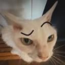 [America] LV8-10 | Vivian+Miyabi+Hailstorm Shrine+0-5 Random 5 Star ...