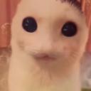 100K Mushrooms (100,000 Shooms) - Creature Of Sonaria (COS ROBLOX)