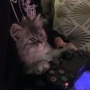 EMAIL CHANGEABLE ALL PLATFORMS 28 SKINS STAR WAND MARSHALL NEVER MORE ...