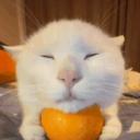 KEYTANA & KEYVOLVER CHEAP RIVALS ACCOUNT STACKED PEND EMAIL VERY SAFE