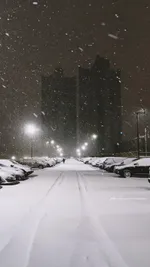 Roblox : Bloodlines : Bloodline : Custom Order : Custom Enquirty : All ...