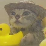 (JJ INFINITE) LVL 420 STAR RAGE + CURSE QUEEN | 1X DOMAIN + 1X RAVENOUS ...