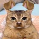 Hakka Style - Volleyball Legends Secret style Ultra Clean Roblox ...