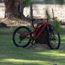 8 Years of Service | 5 Year Veteran Coin (CS2) | TCG Card Shop ...